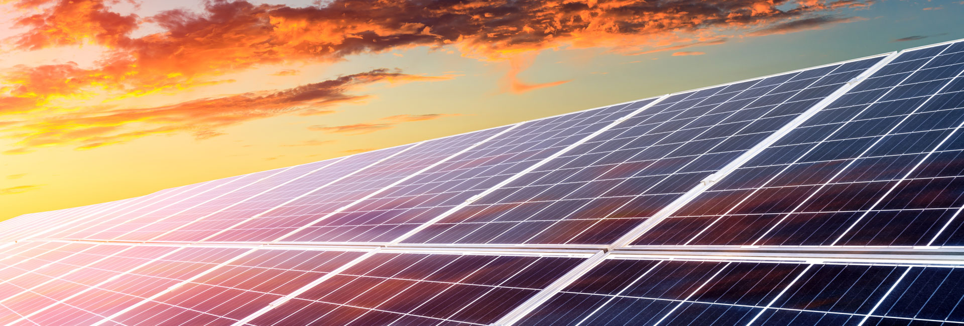 Renewable Energy Plants